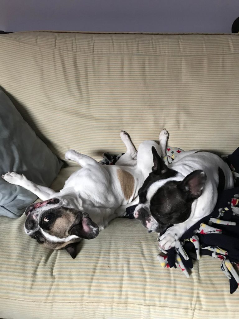 Lucy and Coco