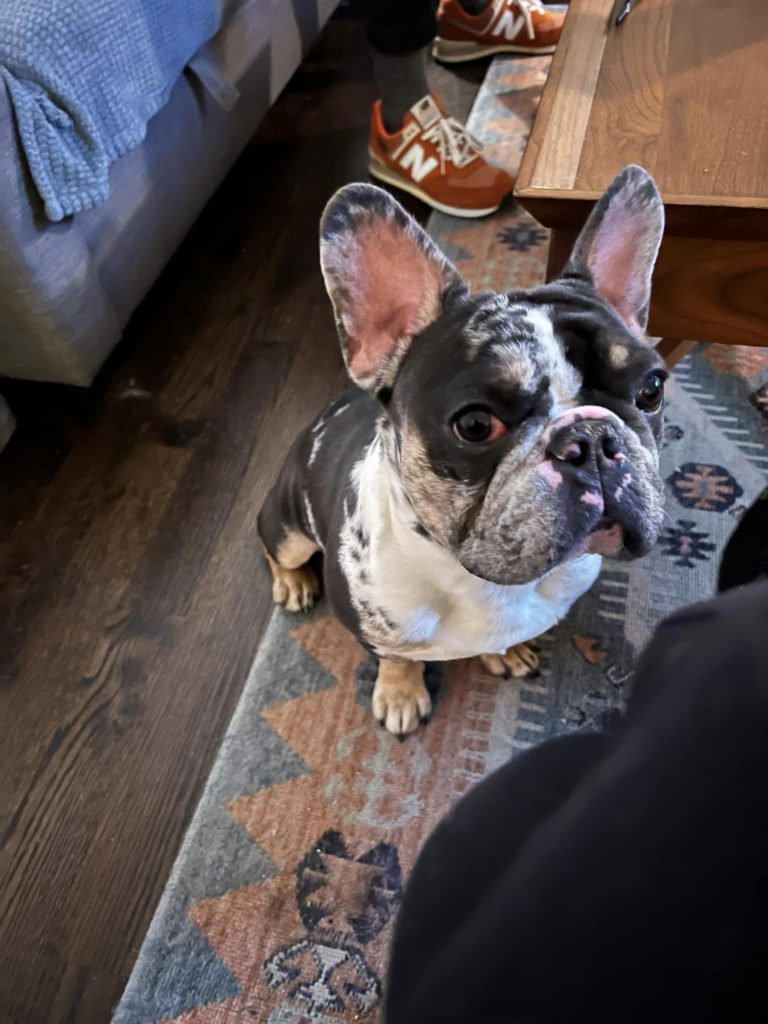 Monty