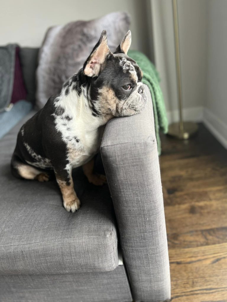 Monty